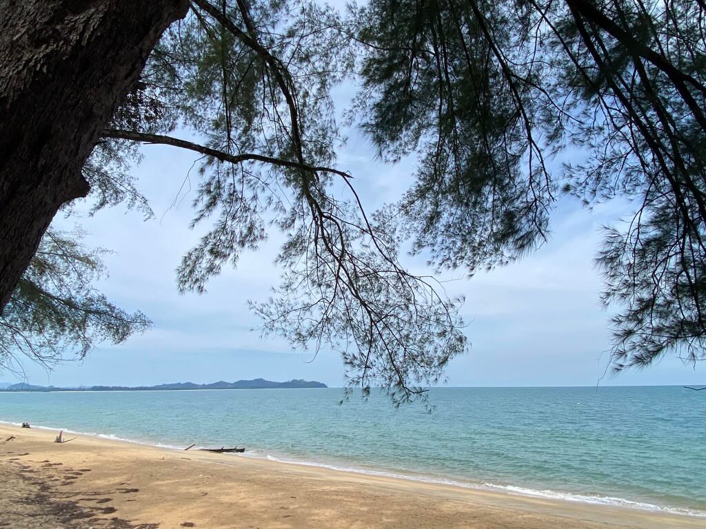 Willow Tree Cherating | Best Malaysia Campsite 2026 🏕️ | Campthering.com